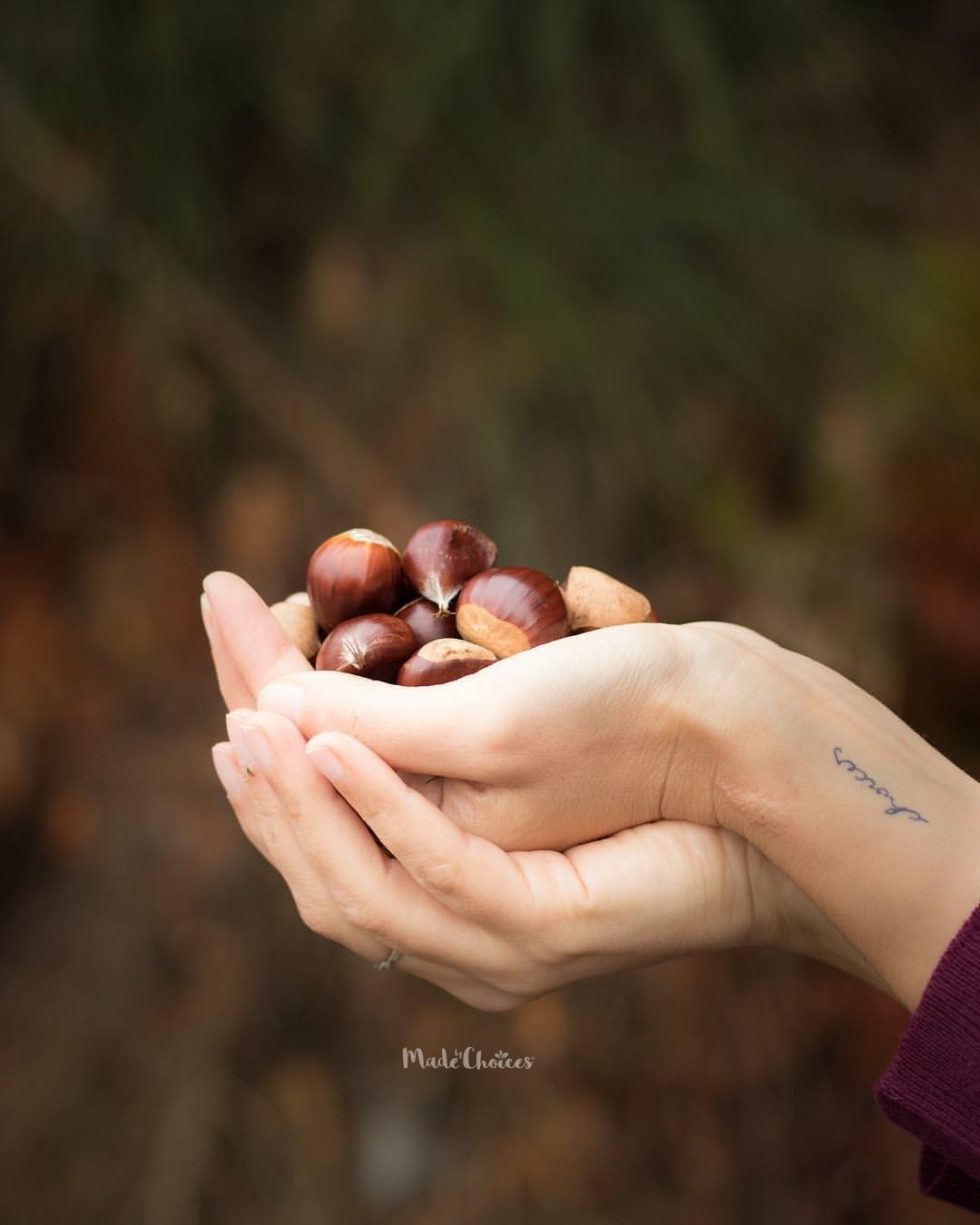 Castanhas assadas na airfyer - Made by Choices